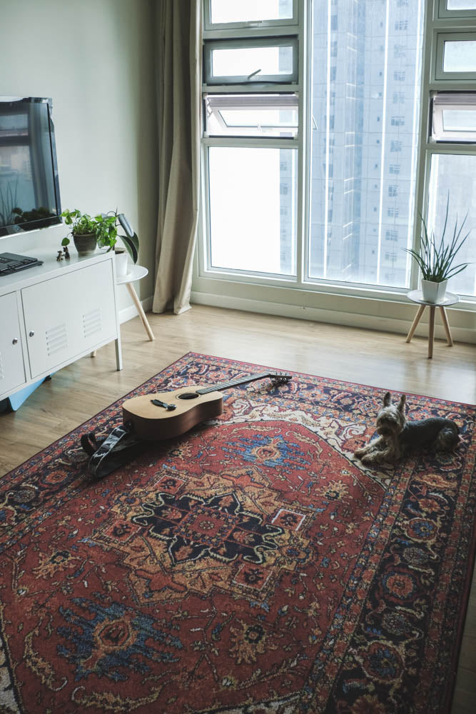 Carpets – Little Mountain